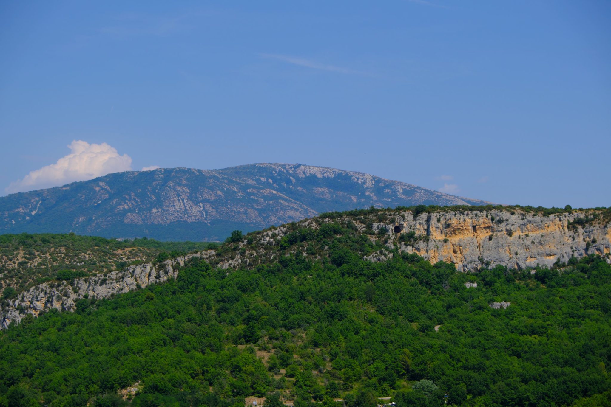Présentation – Forêt Modèle de Provence